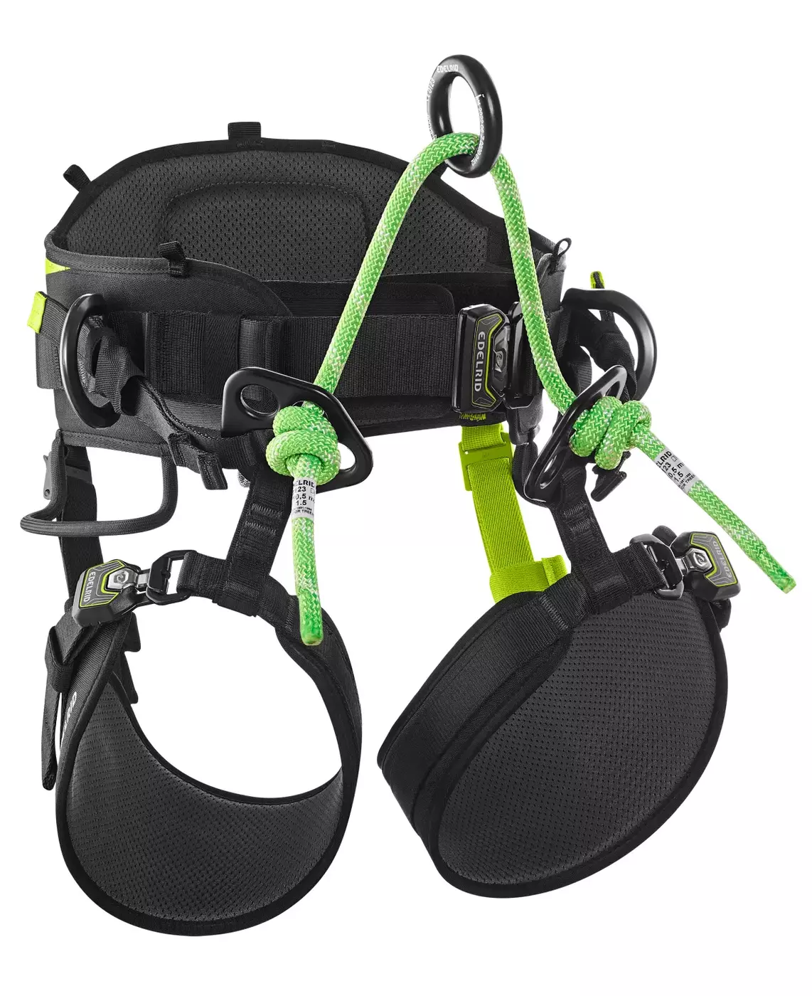TREERAPTOR Sit Harnesses | Professional Tree Climbing Harness